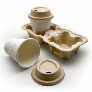 Features & Innovation Possibilities of Pulp Molding | AGICO