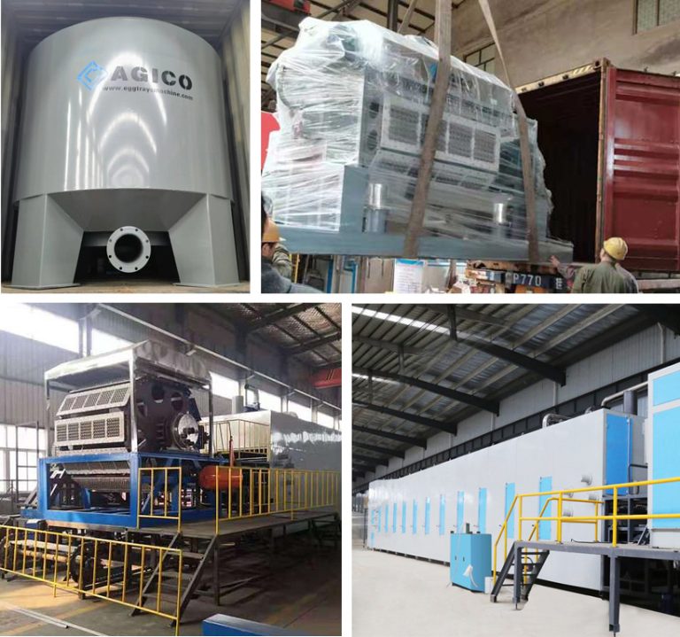 Apple Tray Making Machine | Paper Fruit Tray Production Solution